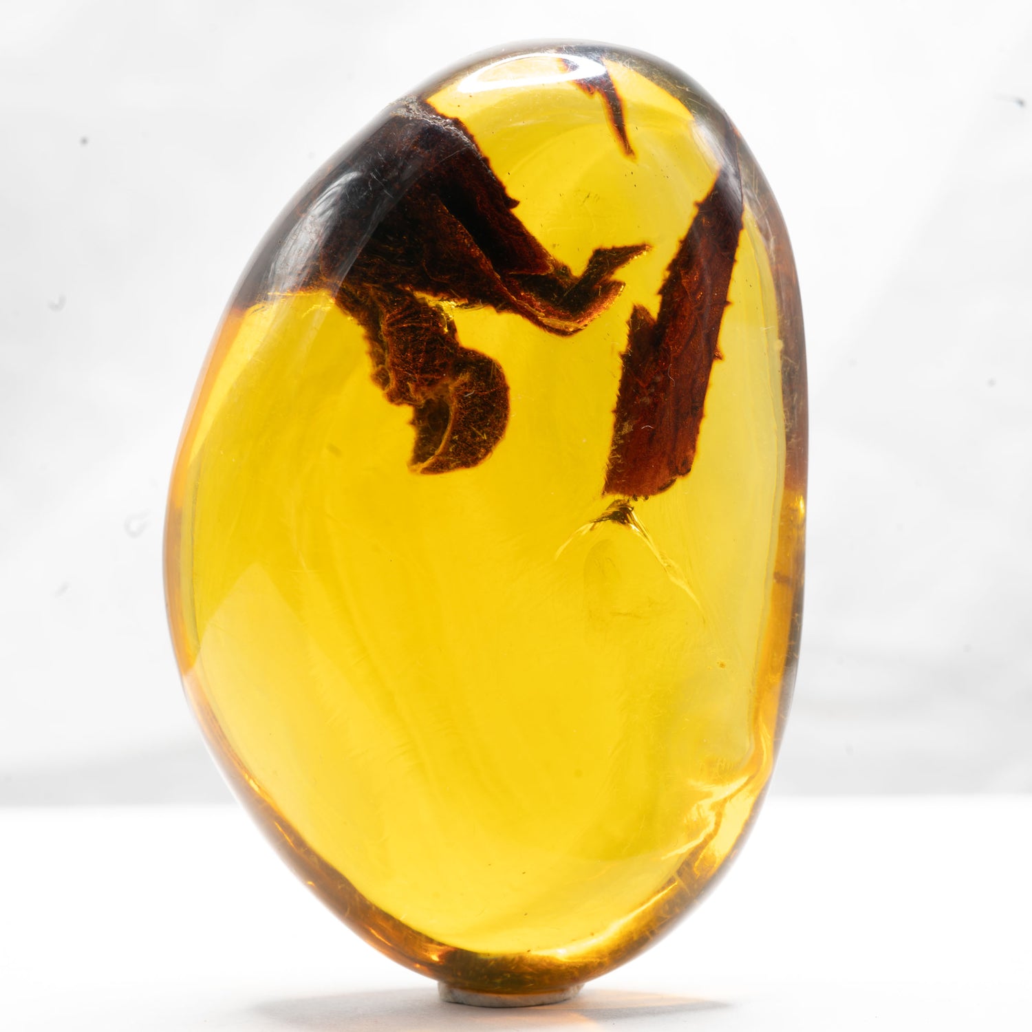 Rare Dominican Amber: 40g Inclusions for Unique Collectors